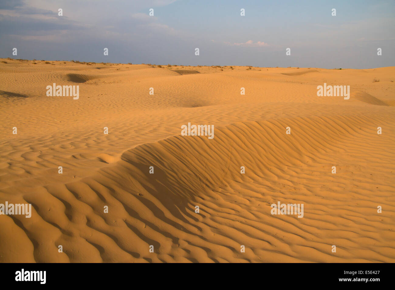 Cracked sandy desert ground hi-res stock photography and images - Alamy