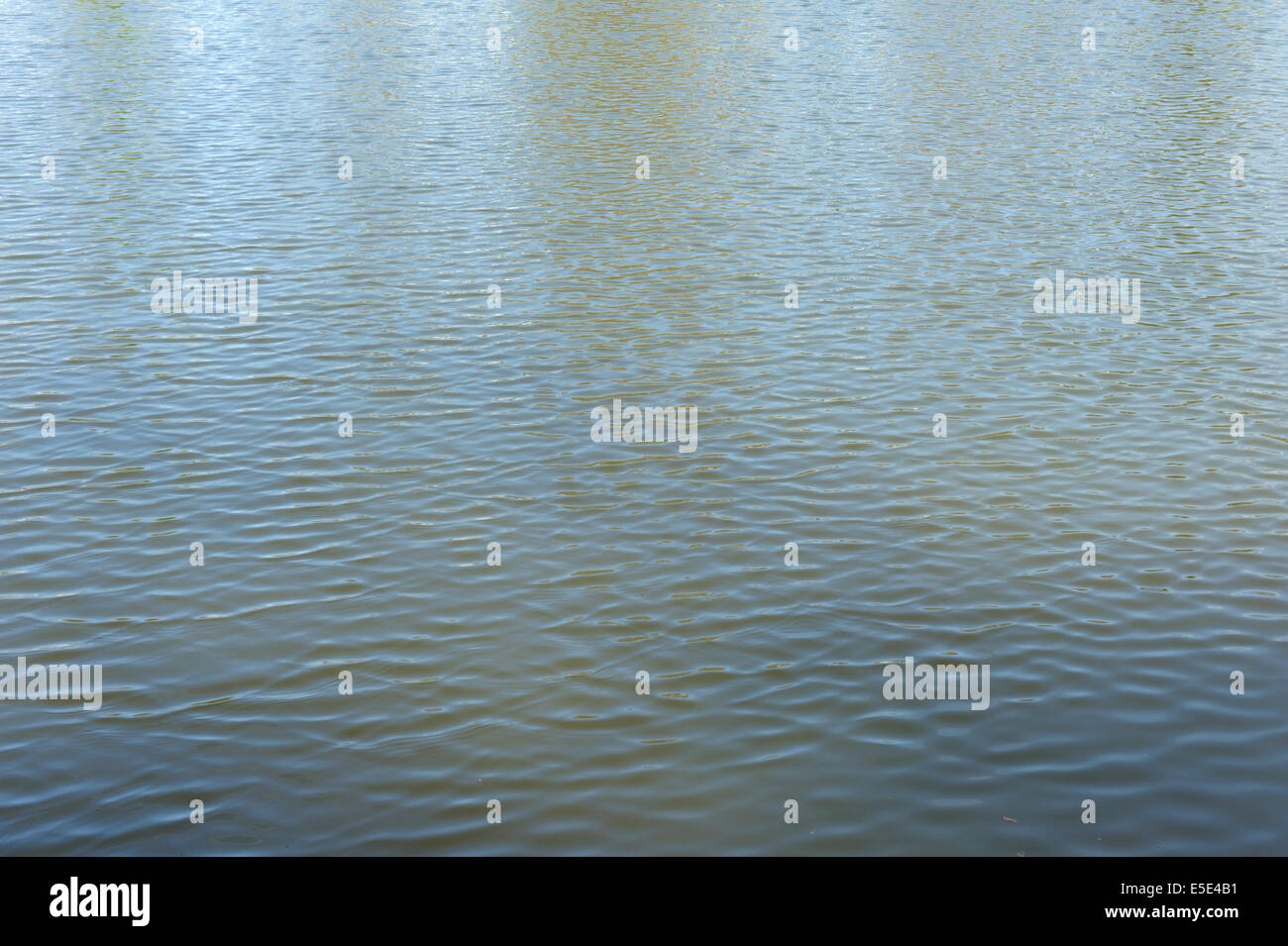 The surface of a lake in Herefordshire Stock Photo - Alamy