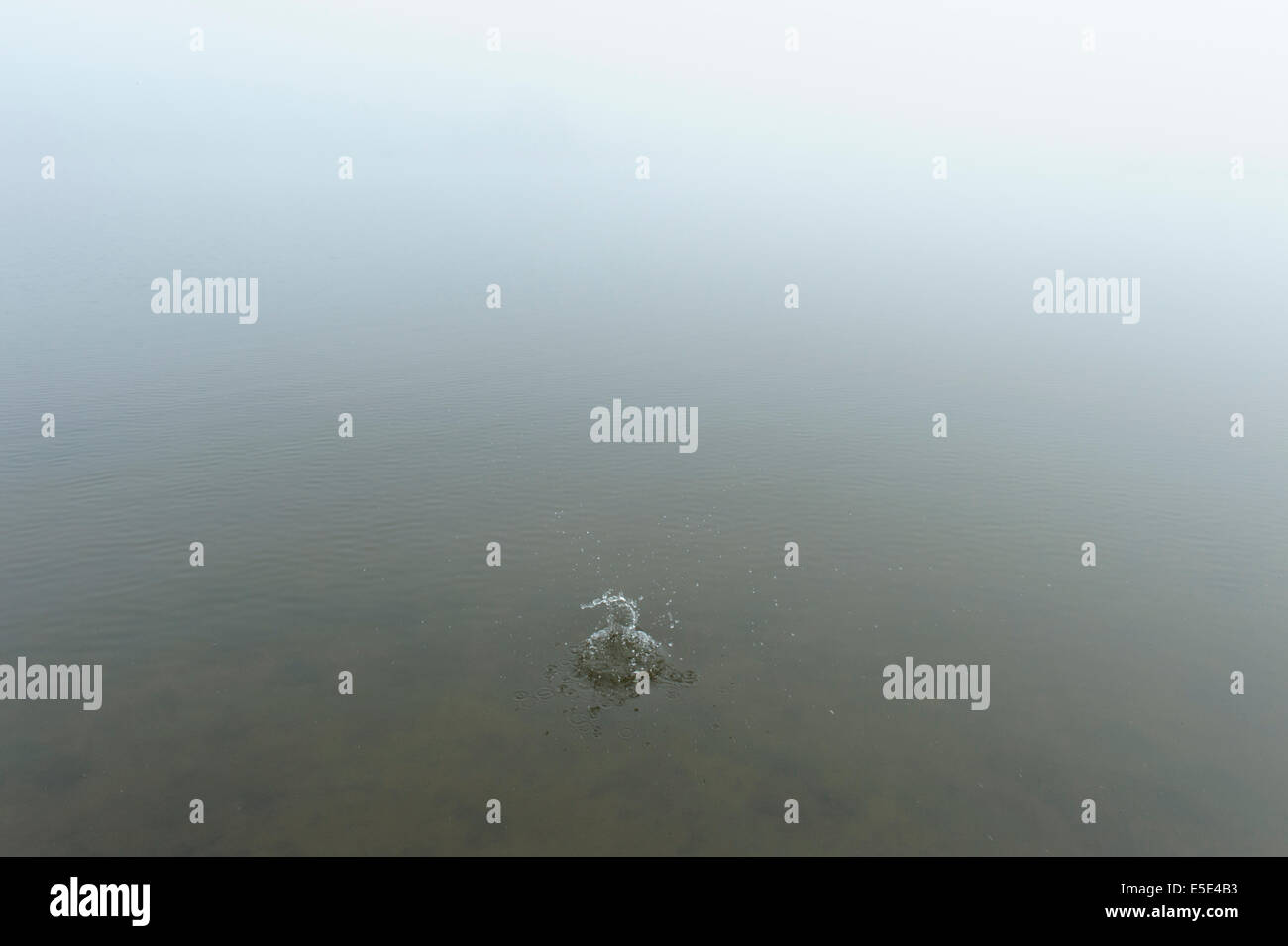 Pebble water ripples hi-res stock photography and images - Alamy