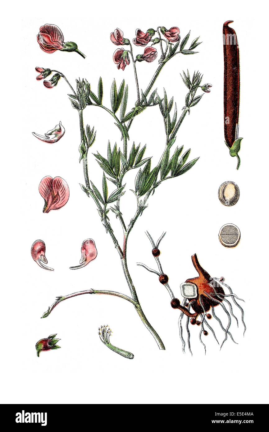 Re mountain Cut Out Stock Images & Pictures - Alamy