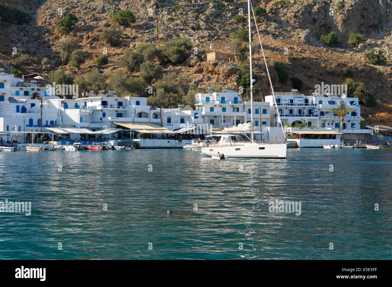 Wild Caretta-Caretta sea turtle in Loutro bay, Crete Stock Photo - Alamy