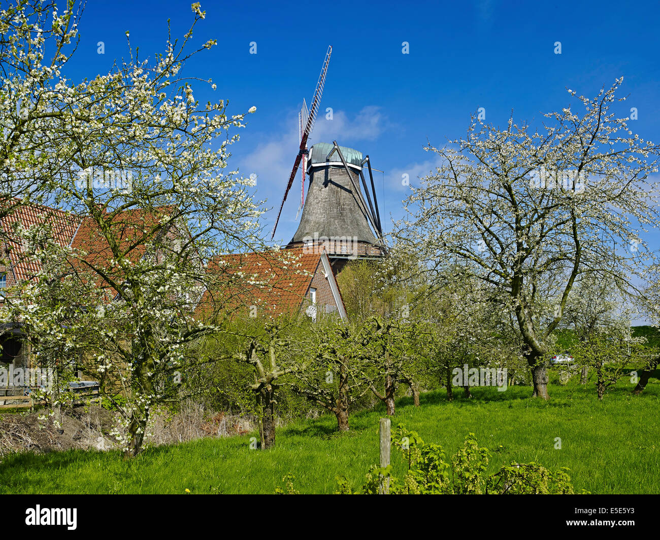 Aurora mill in Borstel, Jork, Germany Stock Photo - Alamy