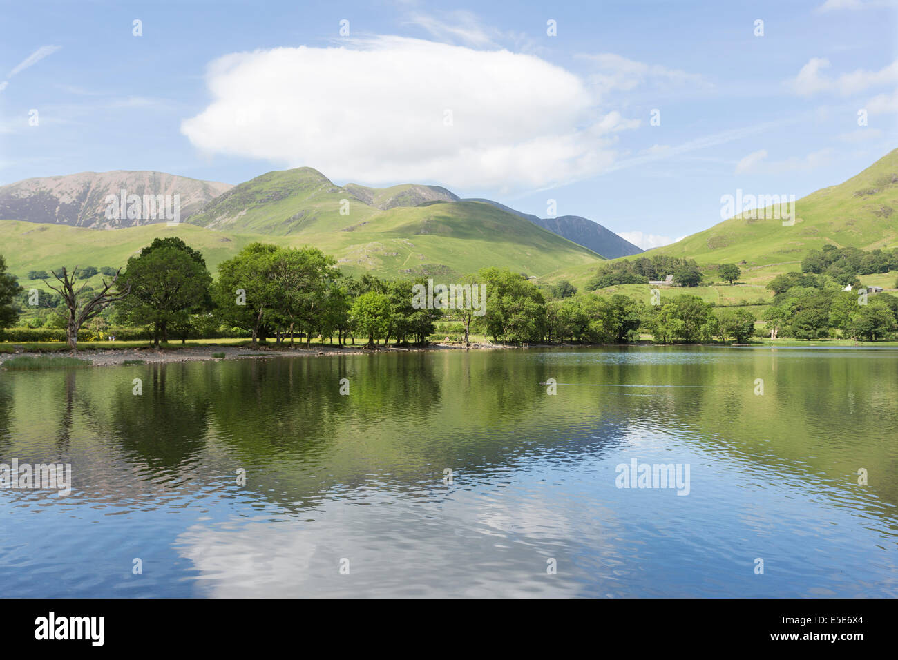 View over Buttermere towards Buttermere Fell on a sunny summer day with ...