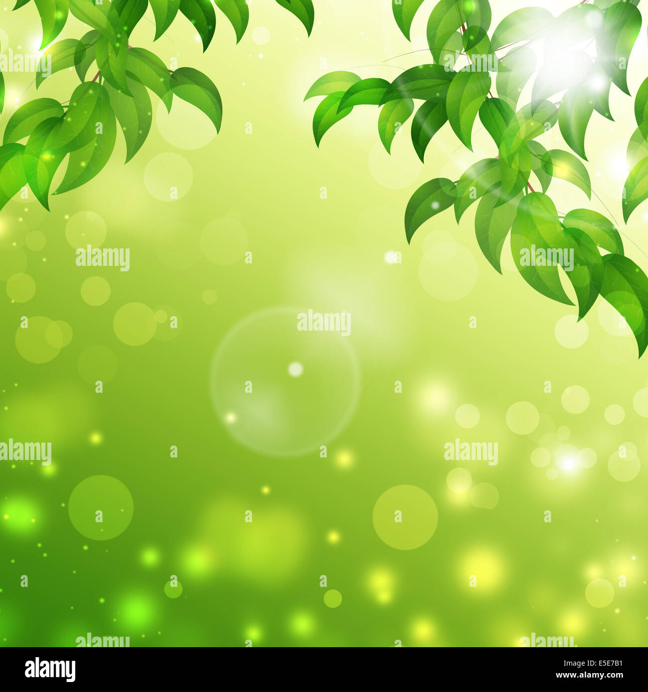 abstract fresh green leaves sunny nature background Stock Photo - Alamy