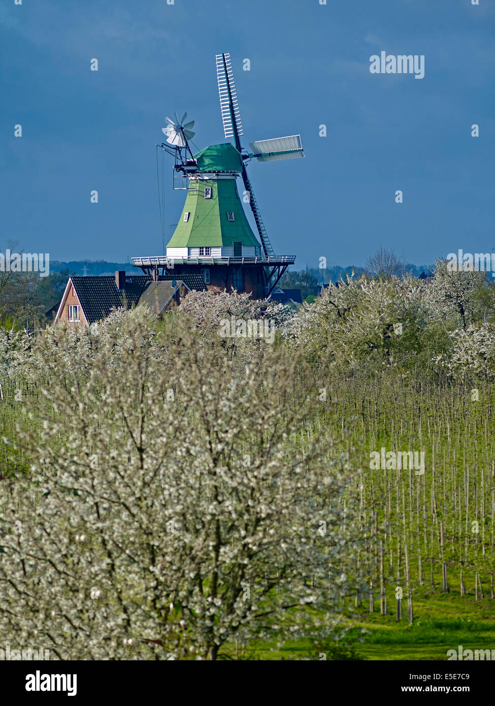 Venti Amica windmill in Twielenfleth Luehe, Lower Saxony, Germany Stock ...