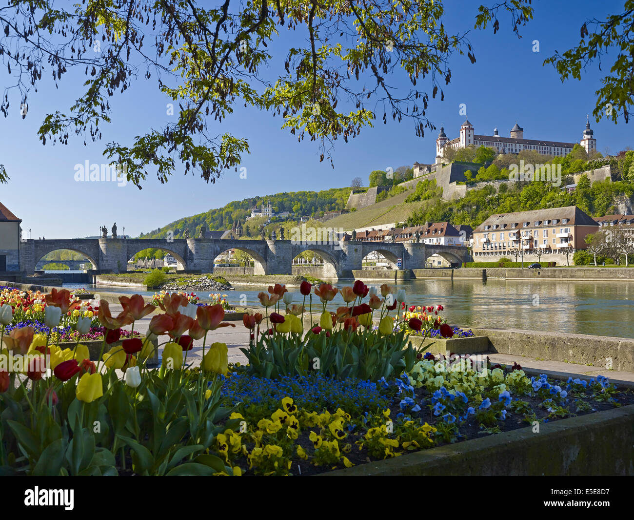Old Main Bridge with Fortress Marienberg in Würzburg, Germany Stock ...