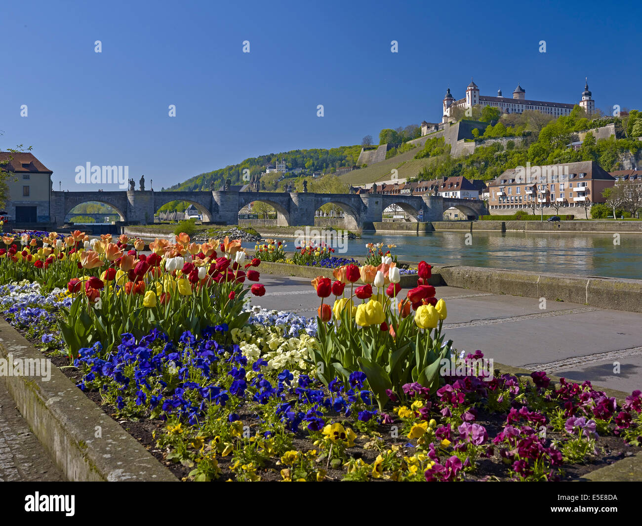 Old Main Bridge with Fortress Marienberg in Würzburg, Germany Stock ...