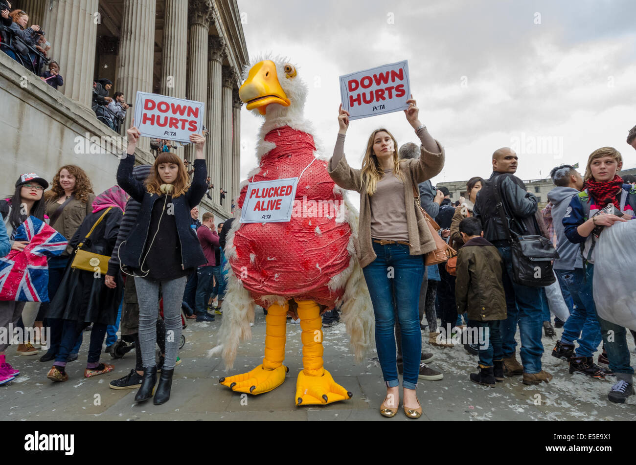 Peta activists hold protest during hi-res stock photography and images ...