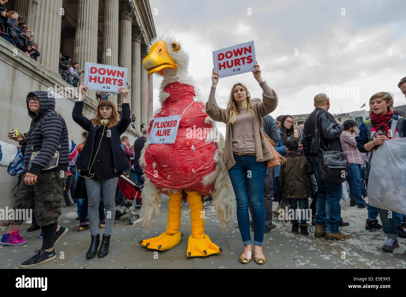 Peta activists hold protest during hi-res stock photography and images ...