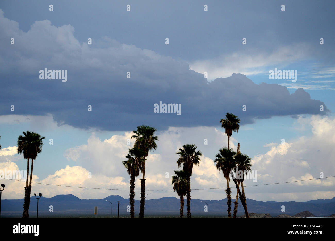 Monsoon storm cells make their way across the high deserts of ...