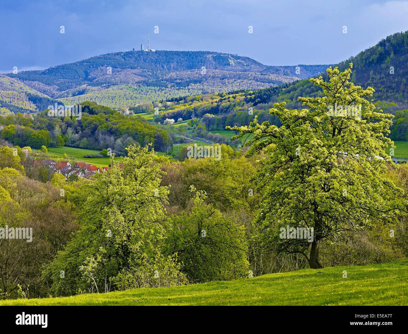 Großer Inselsberg High Resolution Stock Photography and Images - Alamy