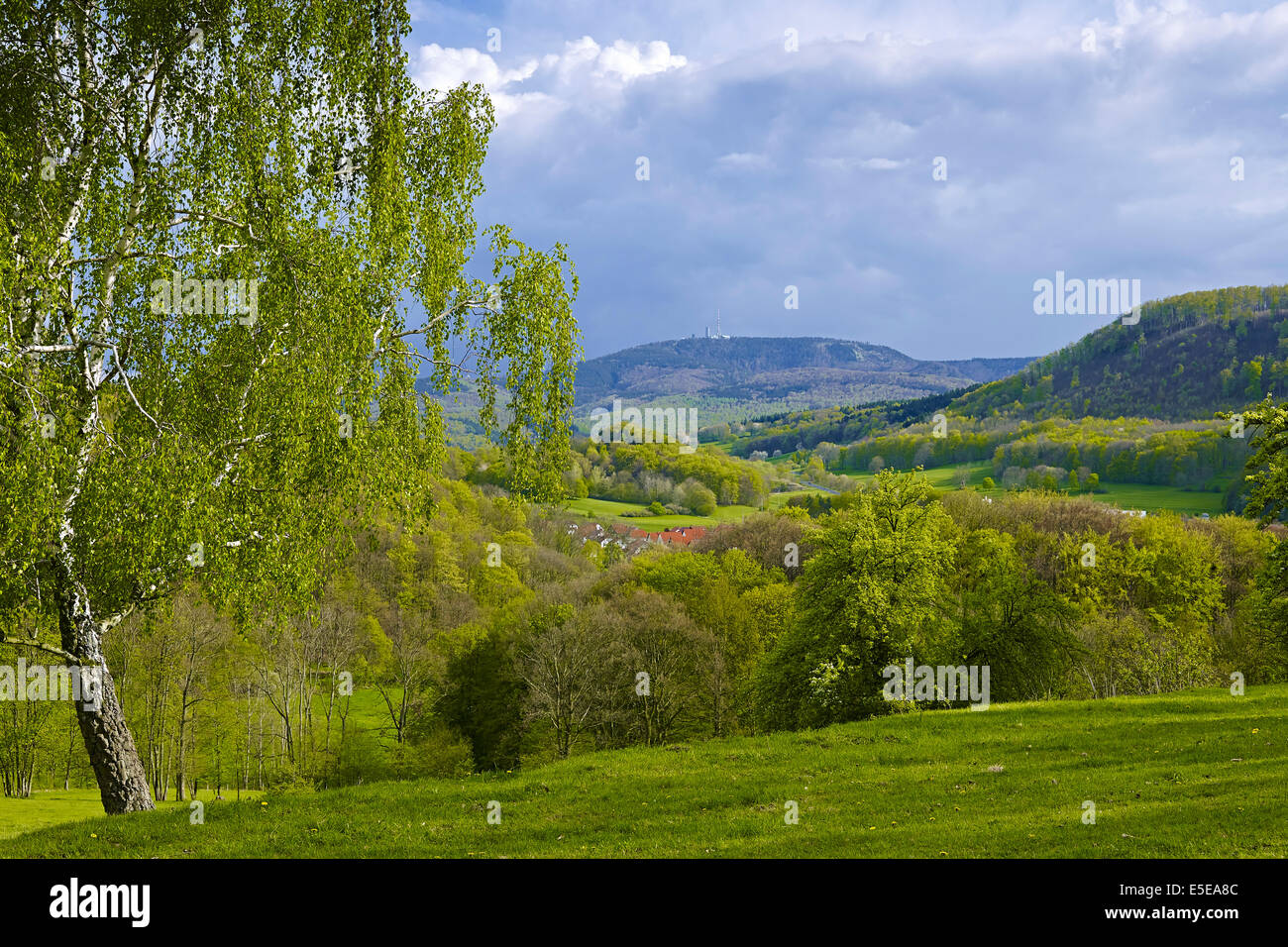 Grosser inselsberg hi-res stock photography and images - Alamy