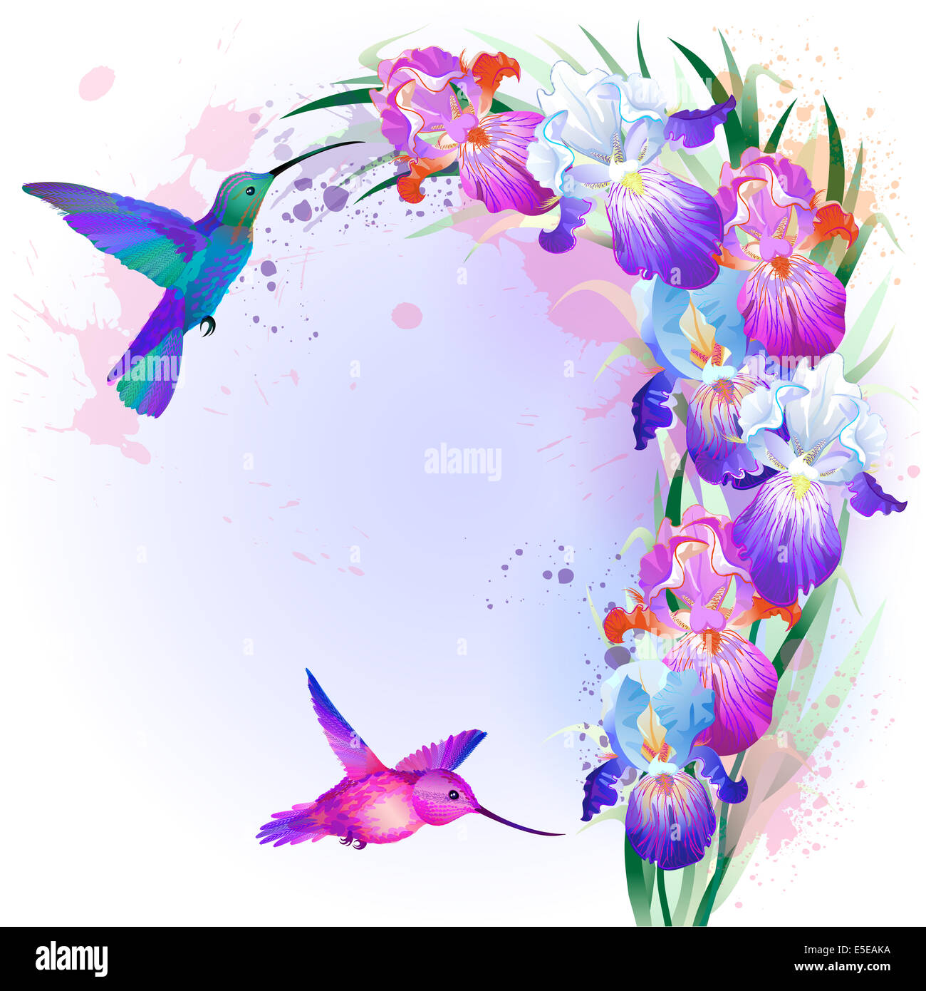 Hummingbird valentine hi-res stock photography and images - Alamy