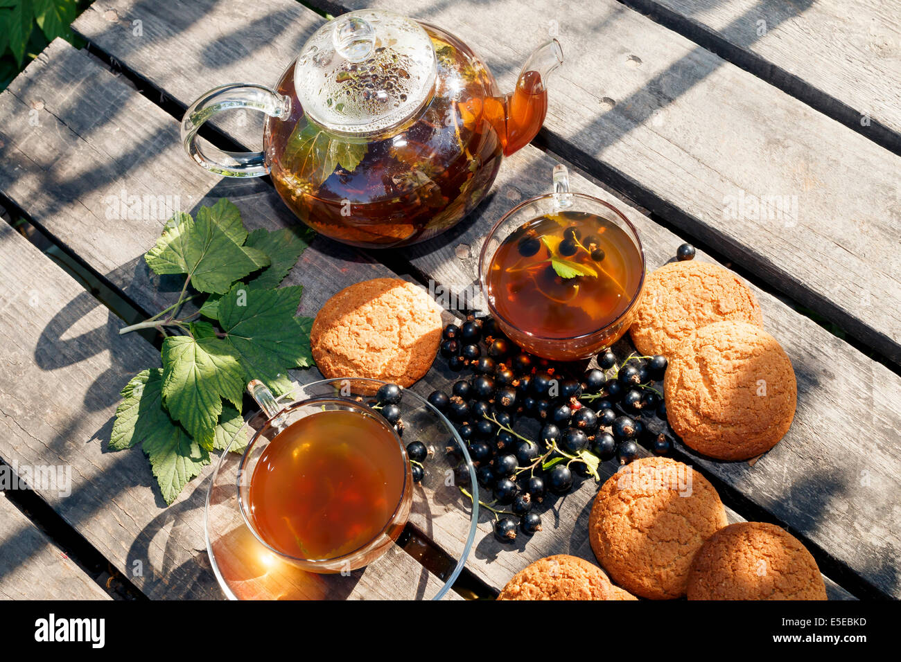 blackcurrant tea with currant leaves and berries in teapot and teacups ...
