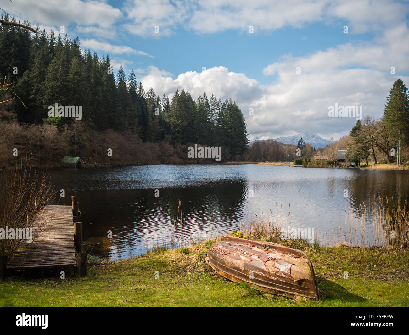 Loch Ard margins landscape Stock Photo - Alamy