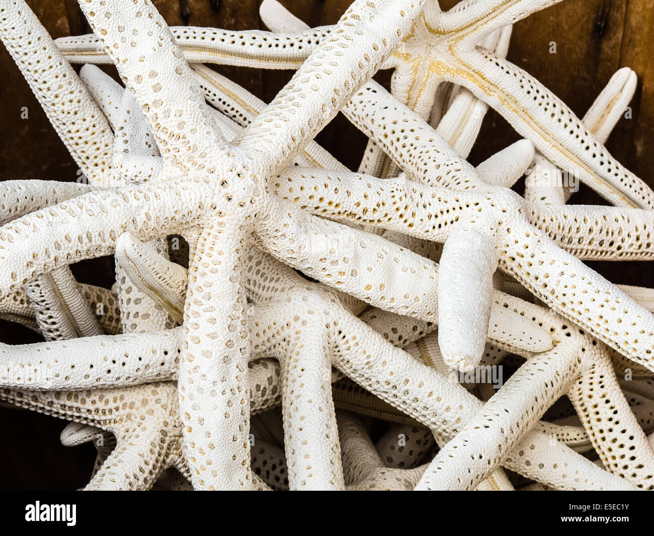 A basket of dried starfish Stock Photo - Alamy