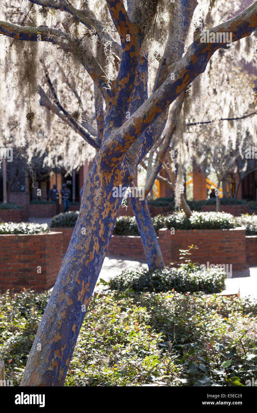 Spirit blue hi-res stock photography and images - Alamy