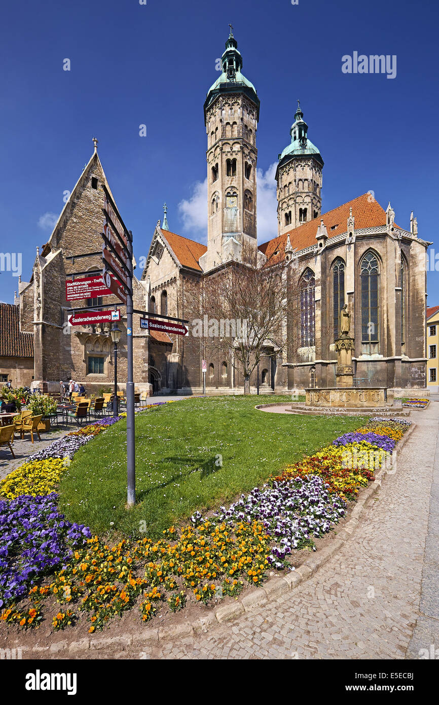 Naumburger cathedral hi-res stock photography and images - Alamy