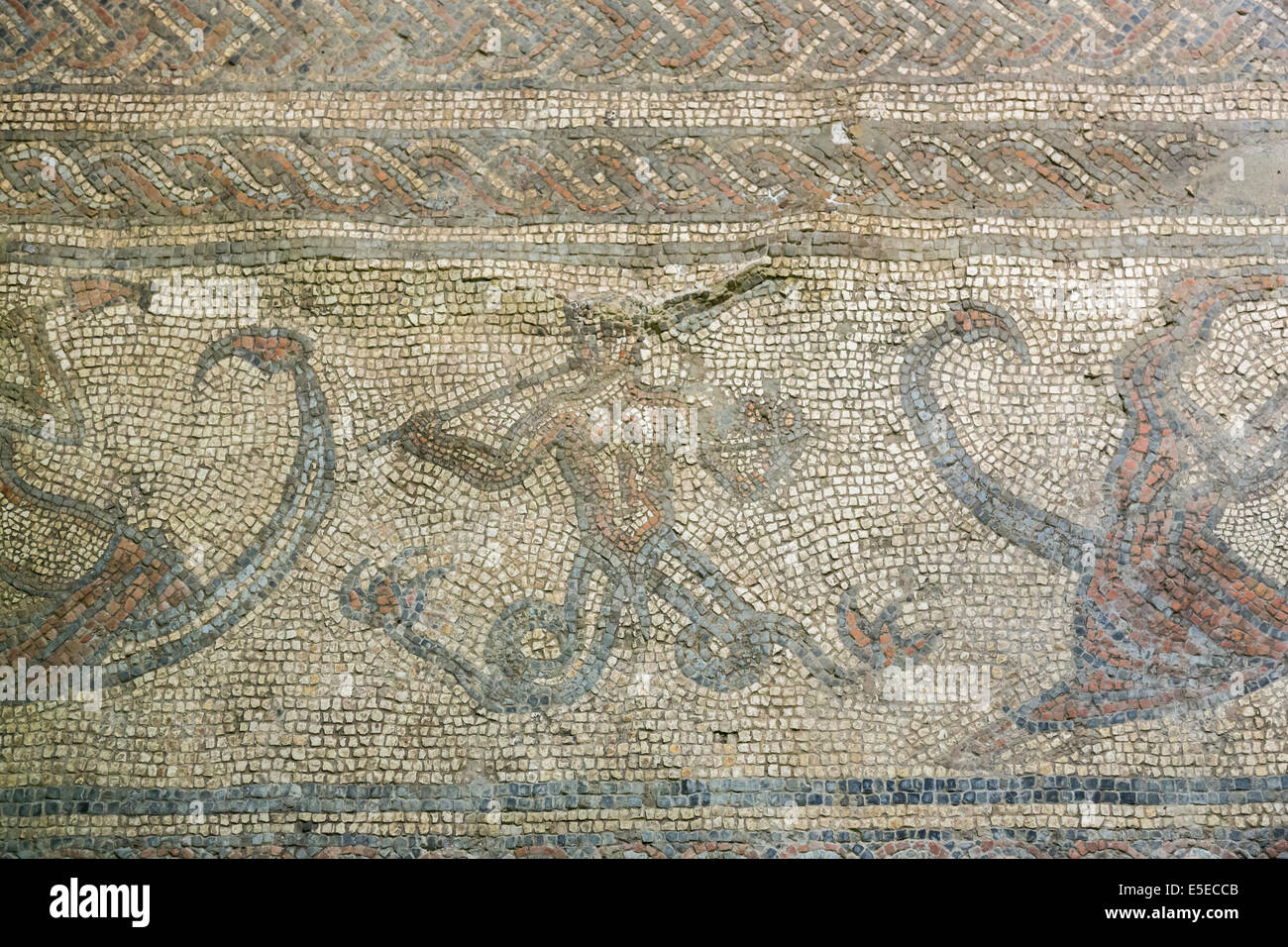 Part of a well preserved Roman mosaic floor in Brading Roman Villa ...
