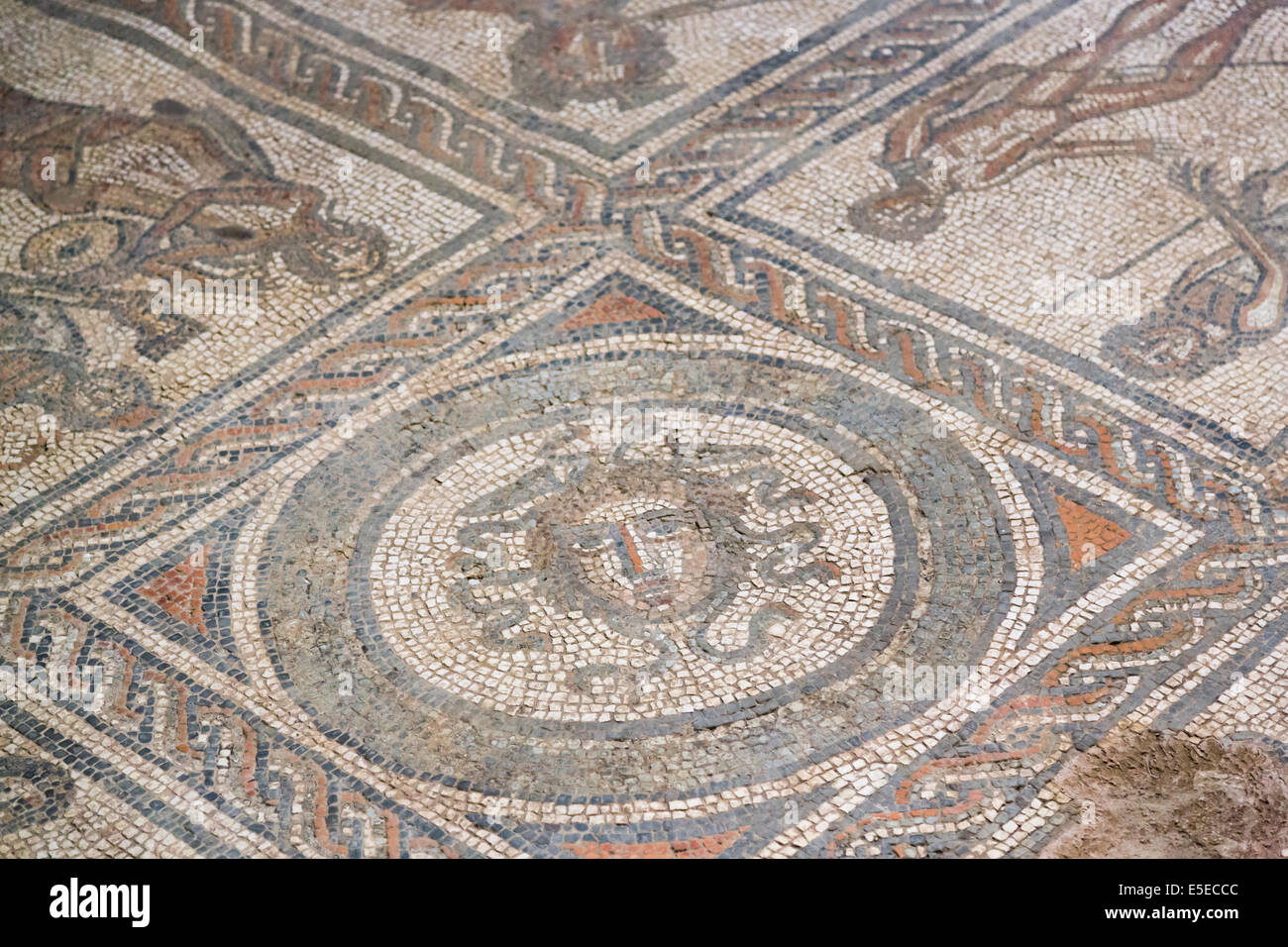 Part of Roman mosaic floor in Brading Roman Villa, Isle of Wight, UK ...