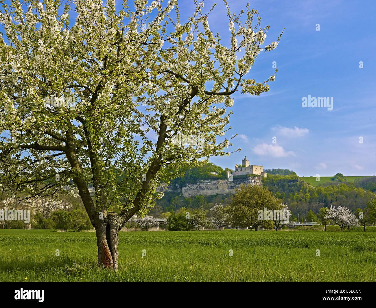 Castle ruins rudelsburg and saaleck hi-res stock photography and images ...