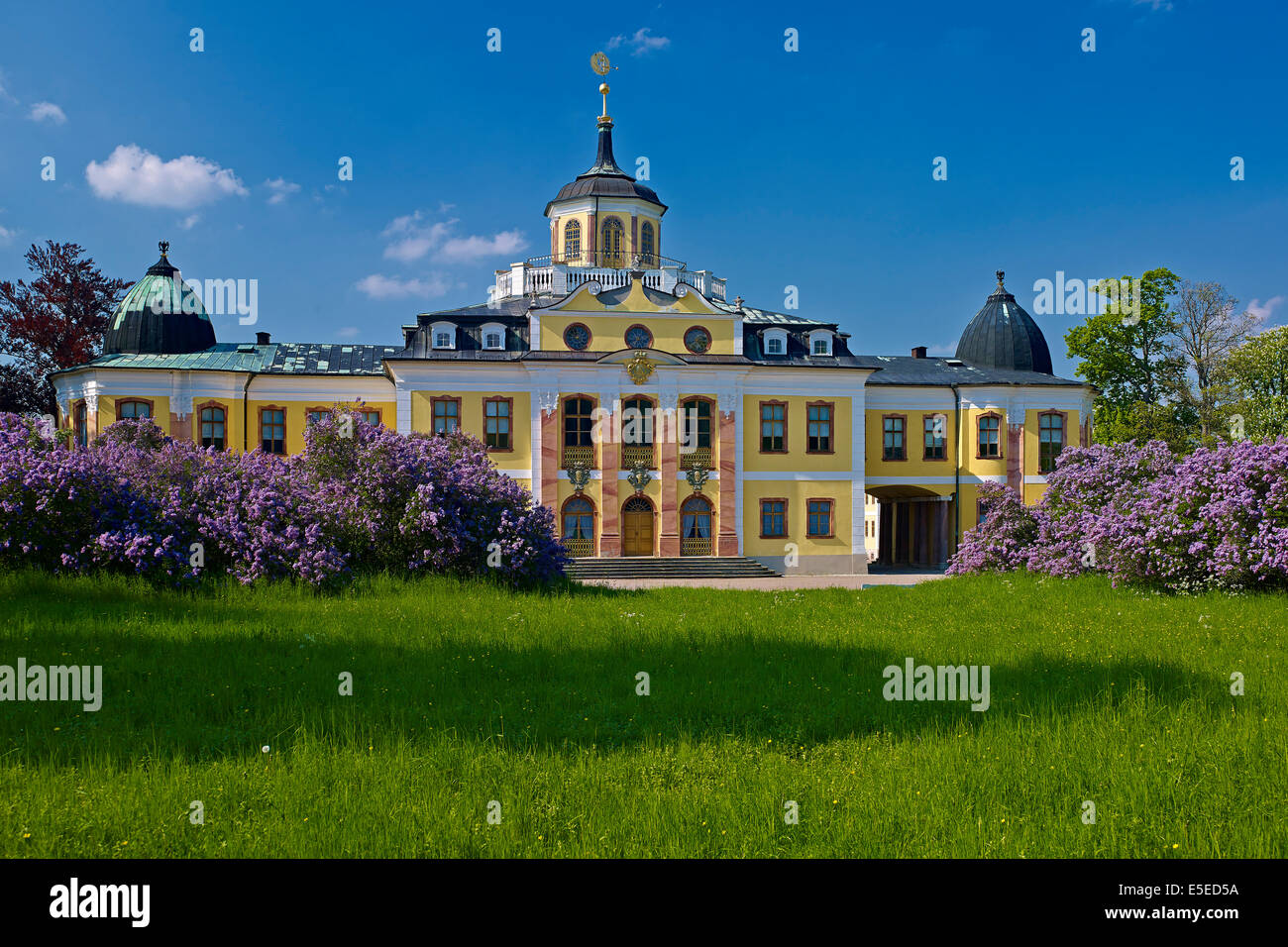 Belvedere Palace in Weimar, Germany Stock Photo - Alamy Belvedere Palace in Weimar, Germany Stock Photo - Alamy