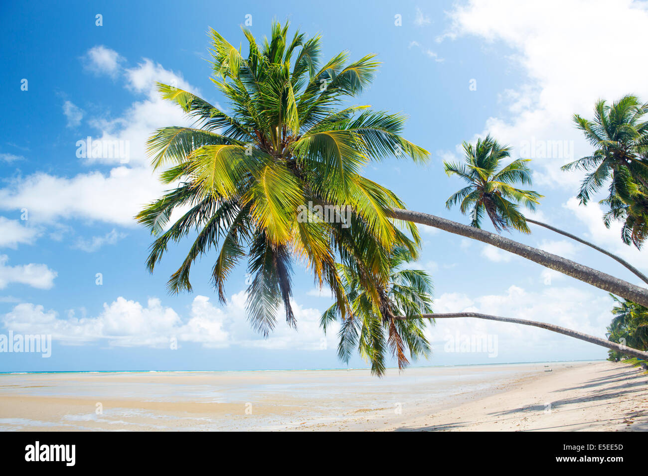 Perfect white sand hi-res stock photography and images - Alamy