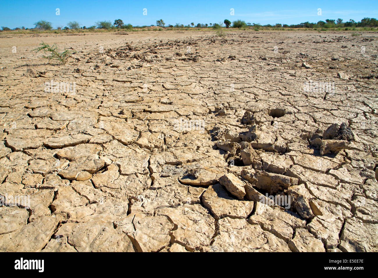 Droughted ground in western Queensland Stock Photo - Alamy