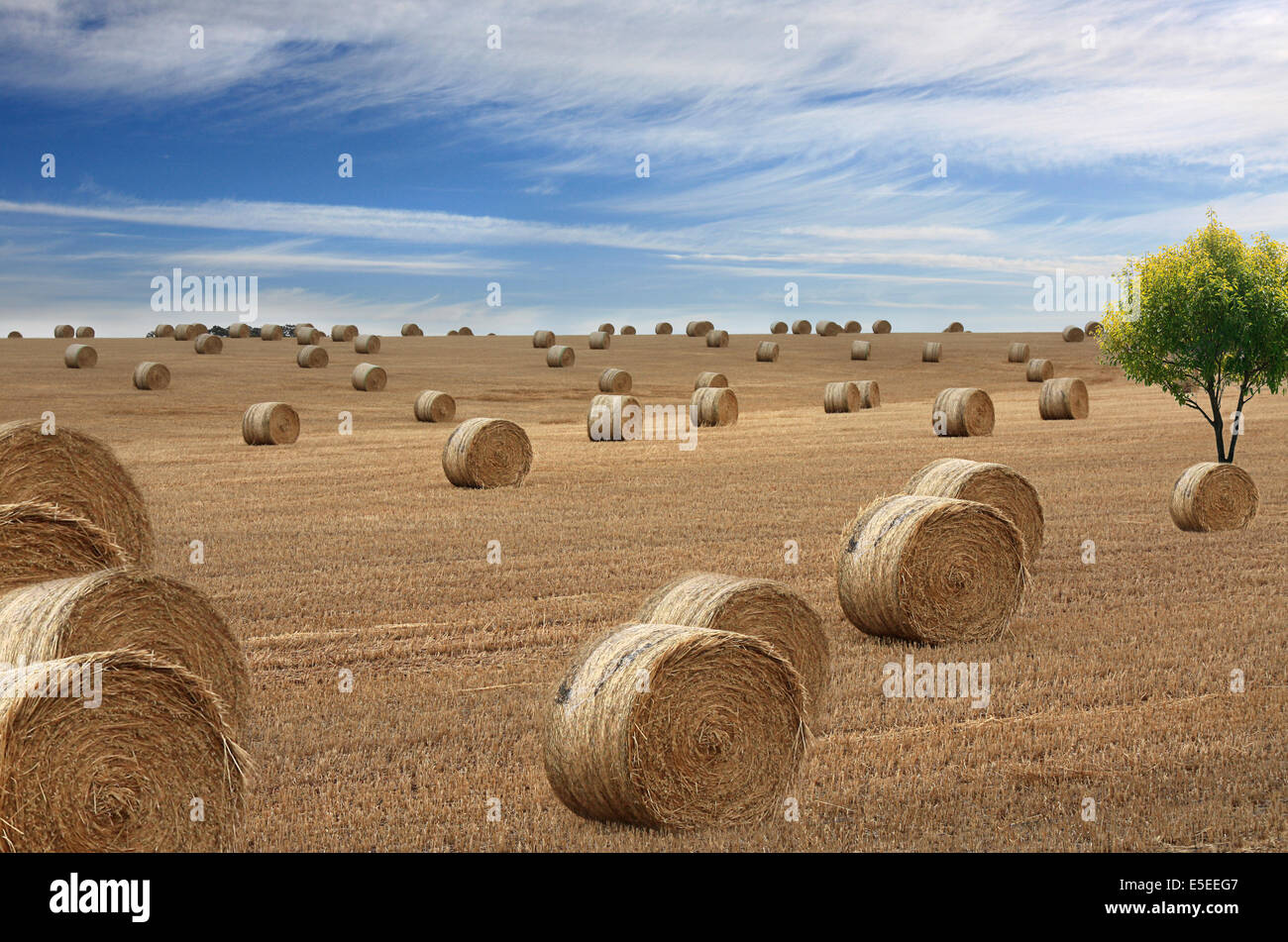 Hay bales australia hi-res stock photography and images - Alamy