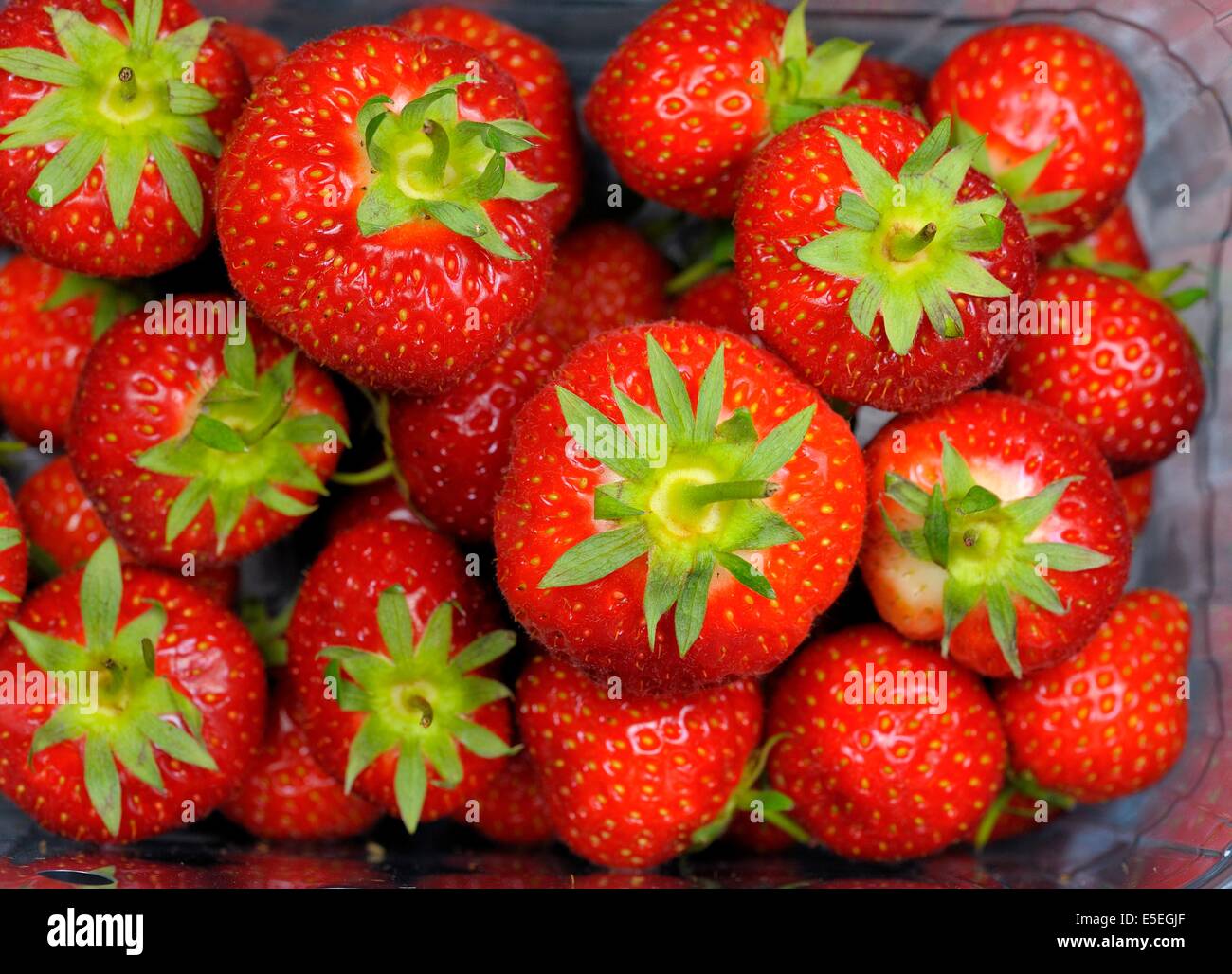 A punned of fresh english strawberries uk Stock Photo - Alamy