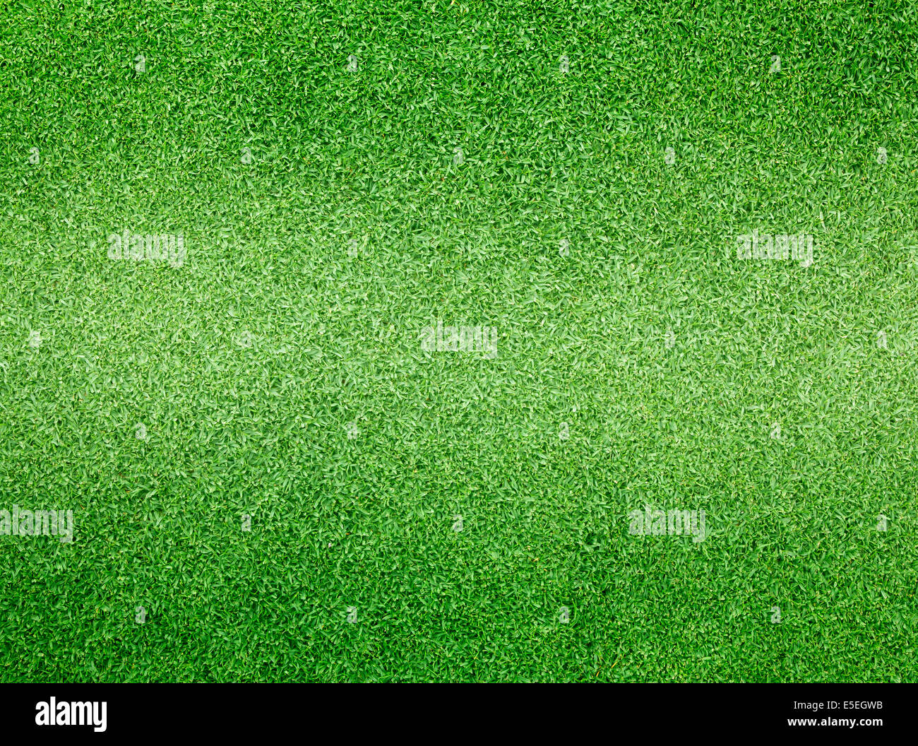 Green lawn grass natural pattern abstract background Stock Photo - Alamy