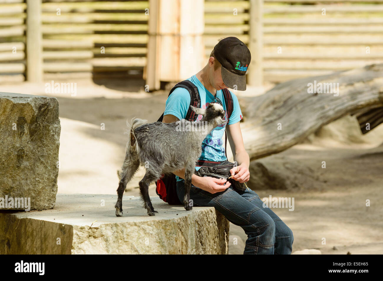 Small goat hi-res stock photography and images - Alamy