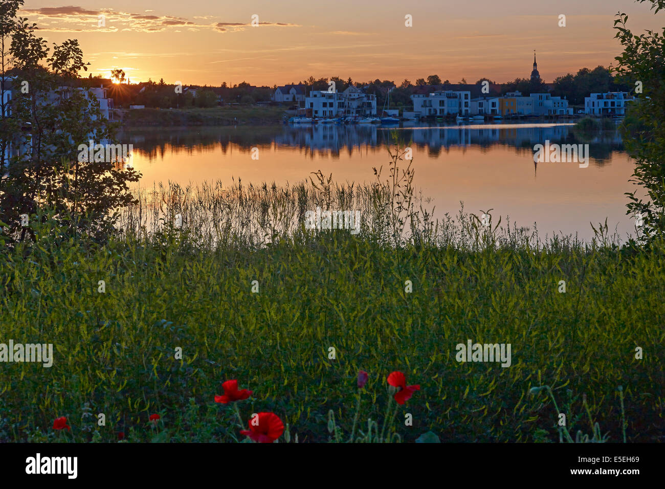 Lagoon Kahnsdorf on Hainer lake, Saxony, Germany Stock Photo - Alamy