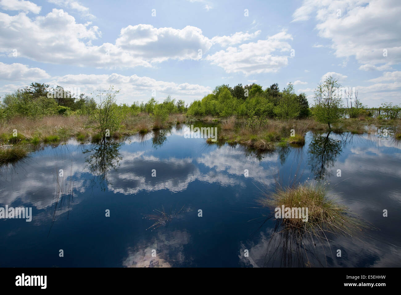 Moorlands hi-res stock photography and images - Alamy