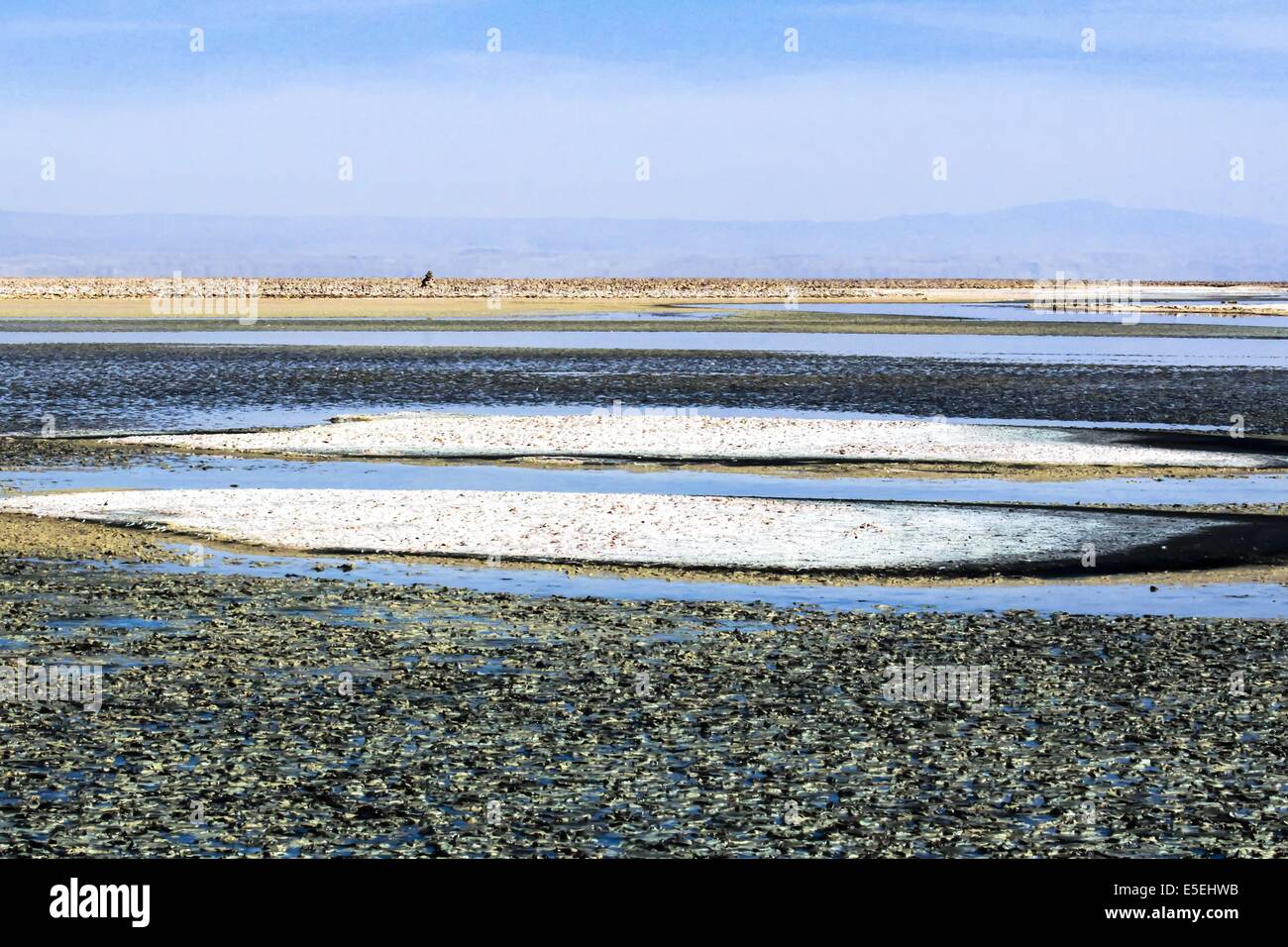 Salar de Atacama, Chile Stock Photo - Alamy