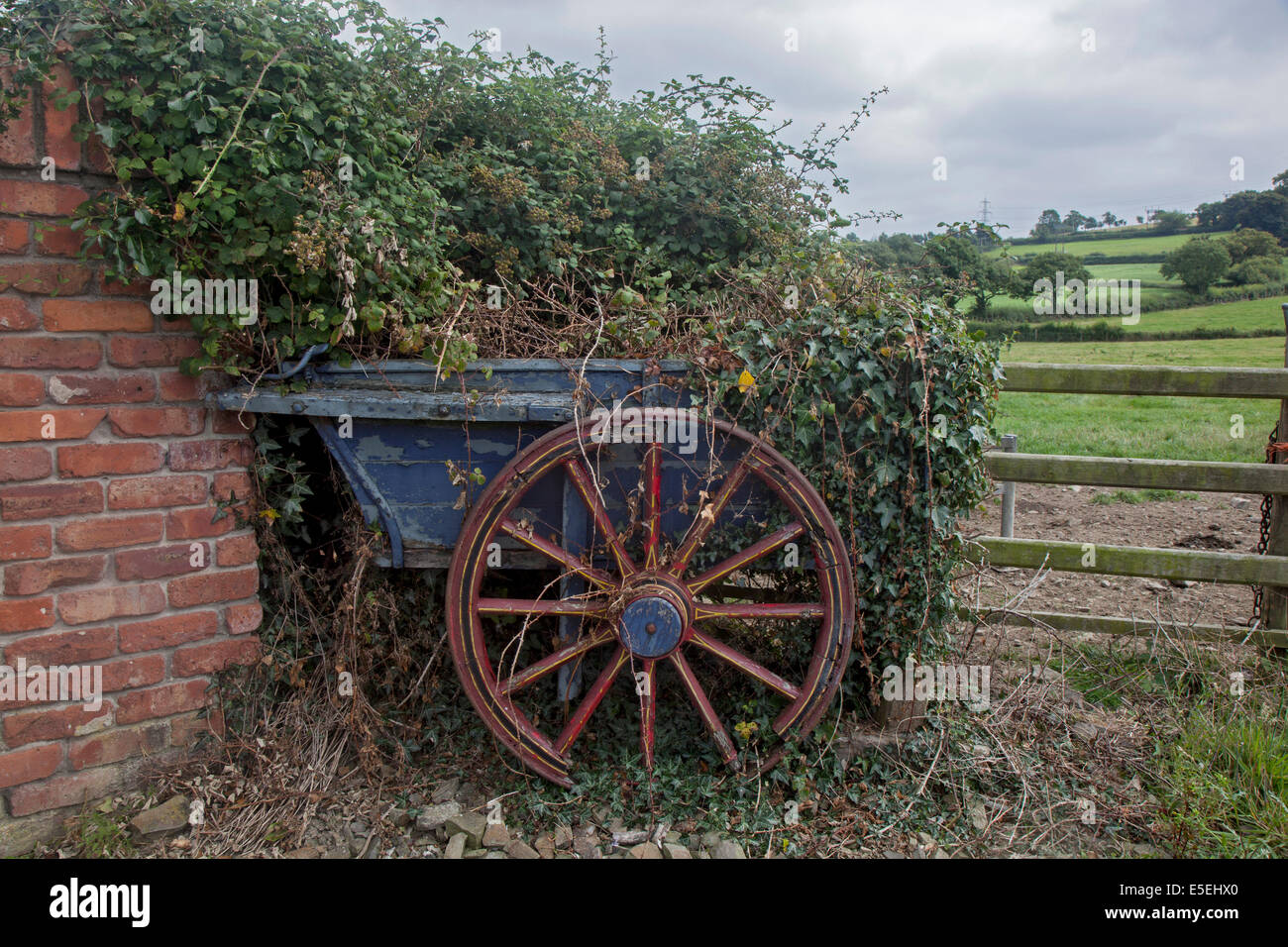 Old farm cart hi-res stock photography and images - Alamy