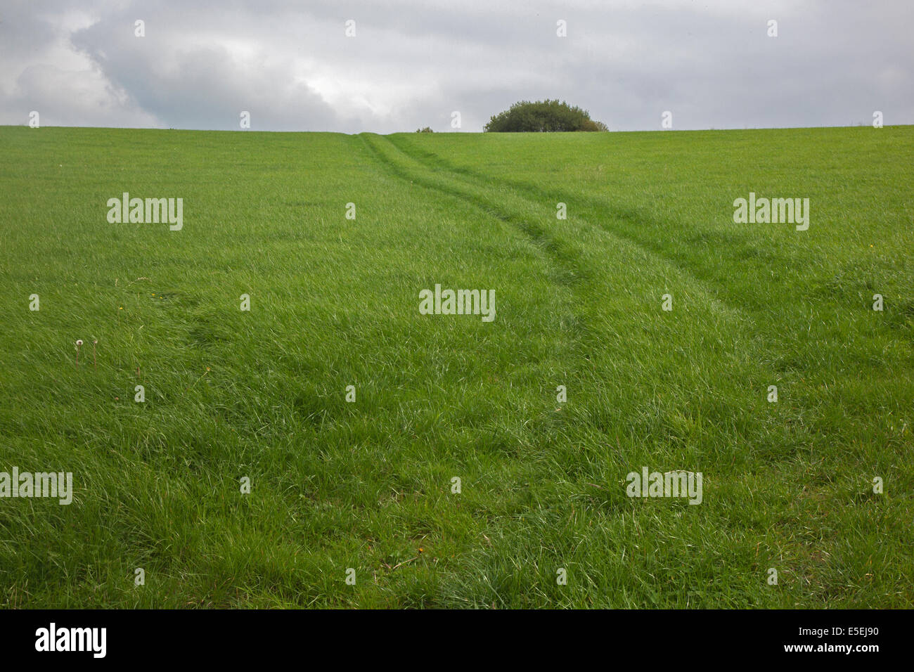 Walk track field hi-res stock photography and images - Alamy