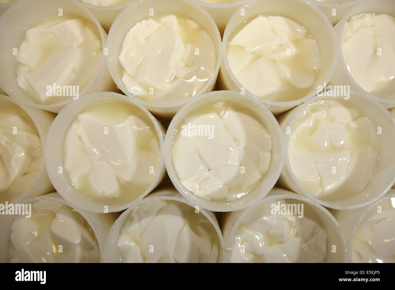 France, Normandie, orne, pays d'auge, camembert, ferme Durand ...