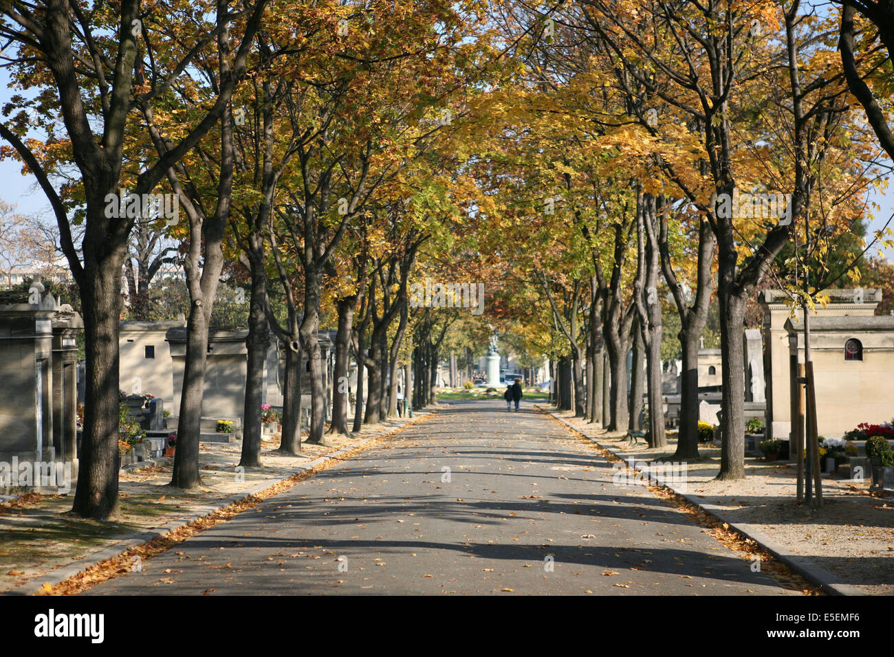 France, paris 14e, cimetiere du montparnasse, allee, arbres, automne ...