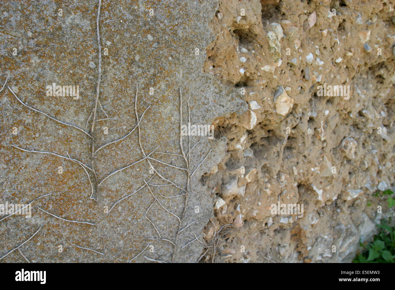Mur de torchis hi-res stock photography and images - Alamy