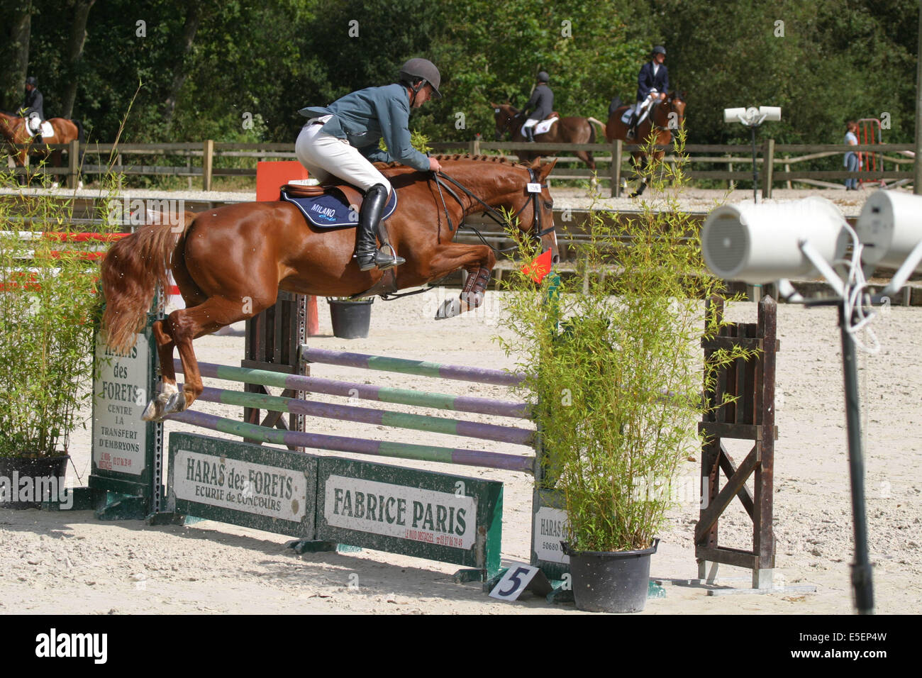 Concours de saut dobstacle hi-res stock photography and images - Alamy