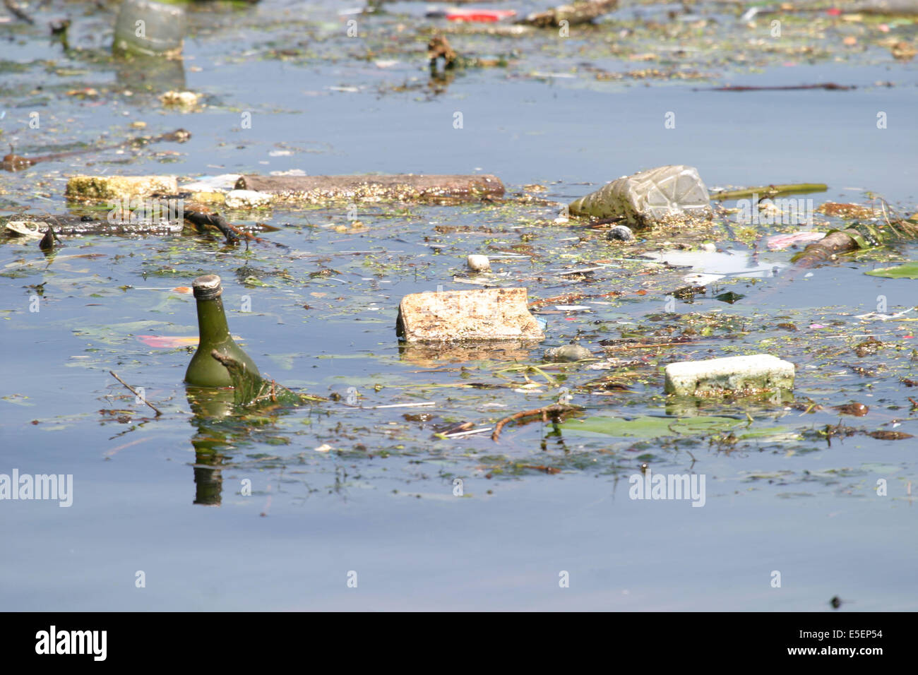 France, Normandie, pollution de l'eau, dechets, detritus, developpement ...