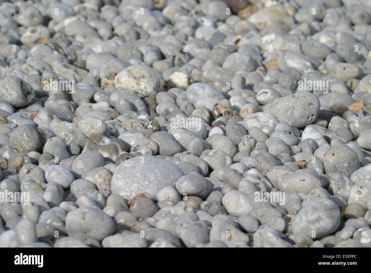 France, Normandie, seine maritime, cote d'albatre etretat, galets ...