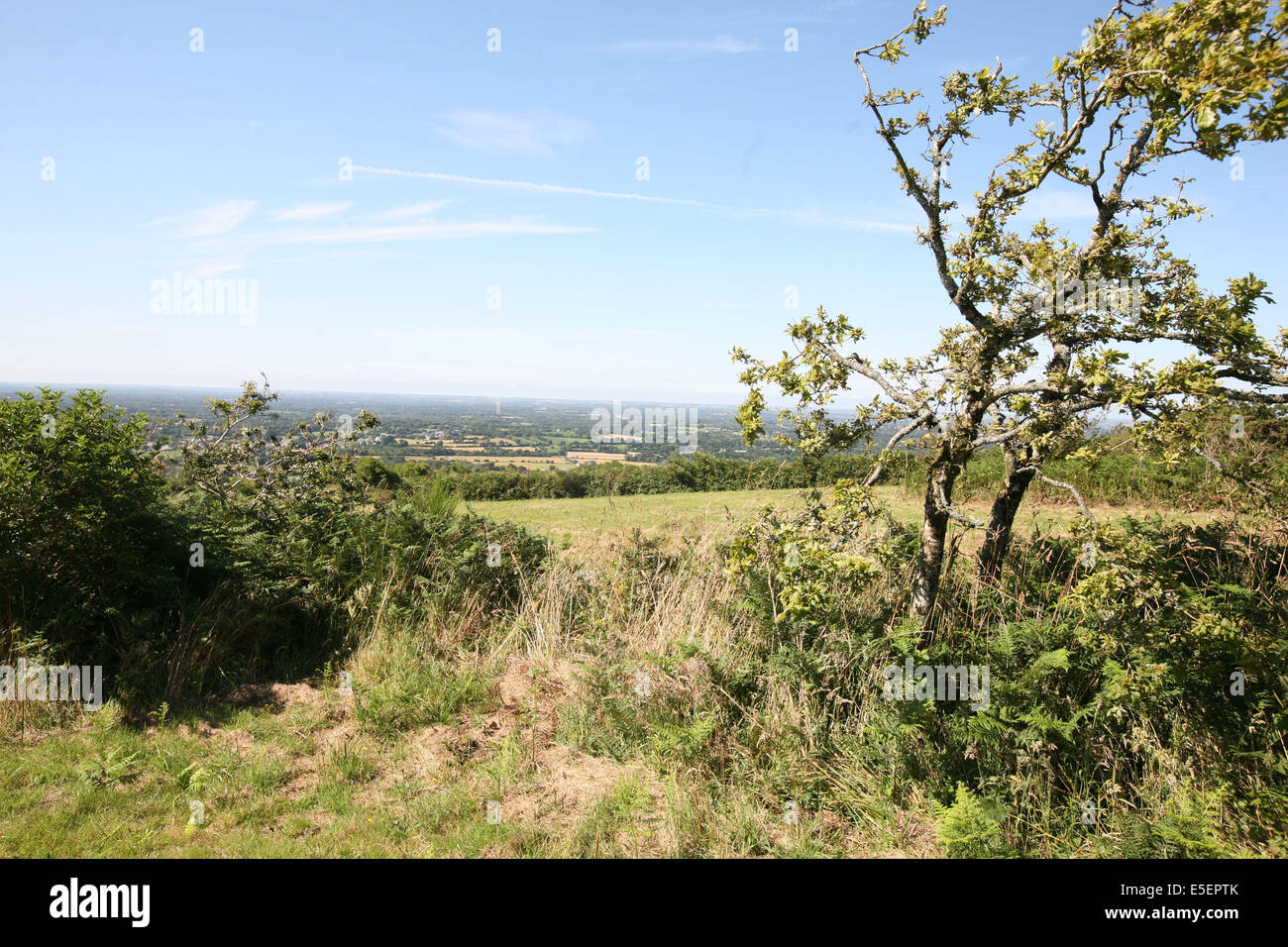 Le mene hi-res stock photography and images - Alamy