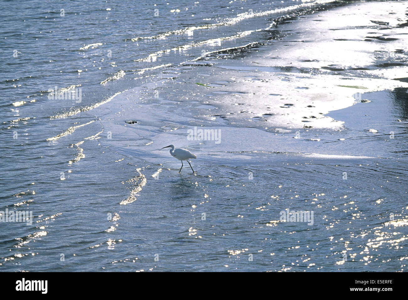 Riviere belon hi-res stock photography and images - Alamy