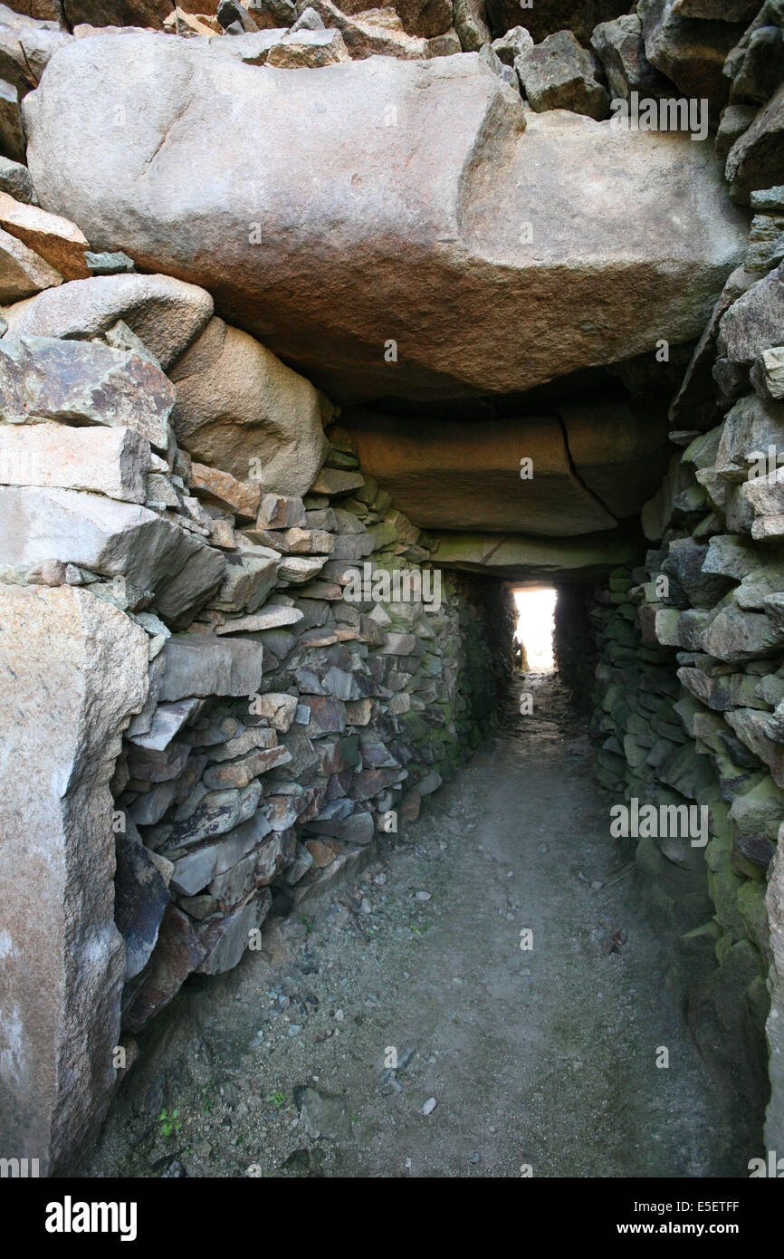 France, Bretagne, finistere nord, cairn de barnenez, plouezoc'h pres de ...