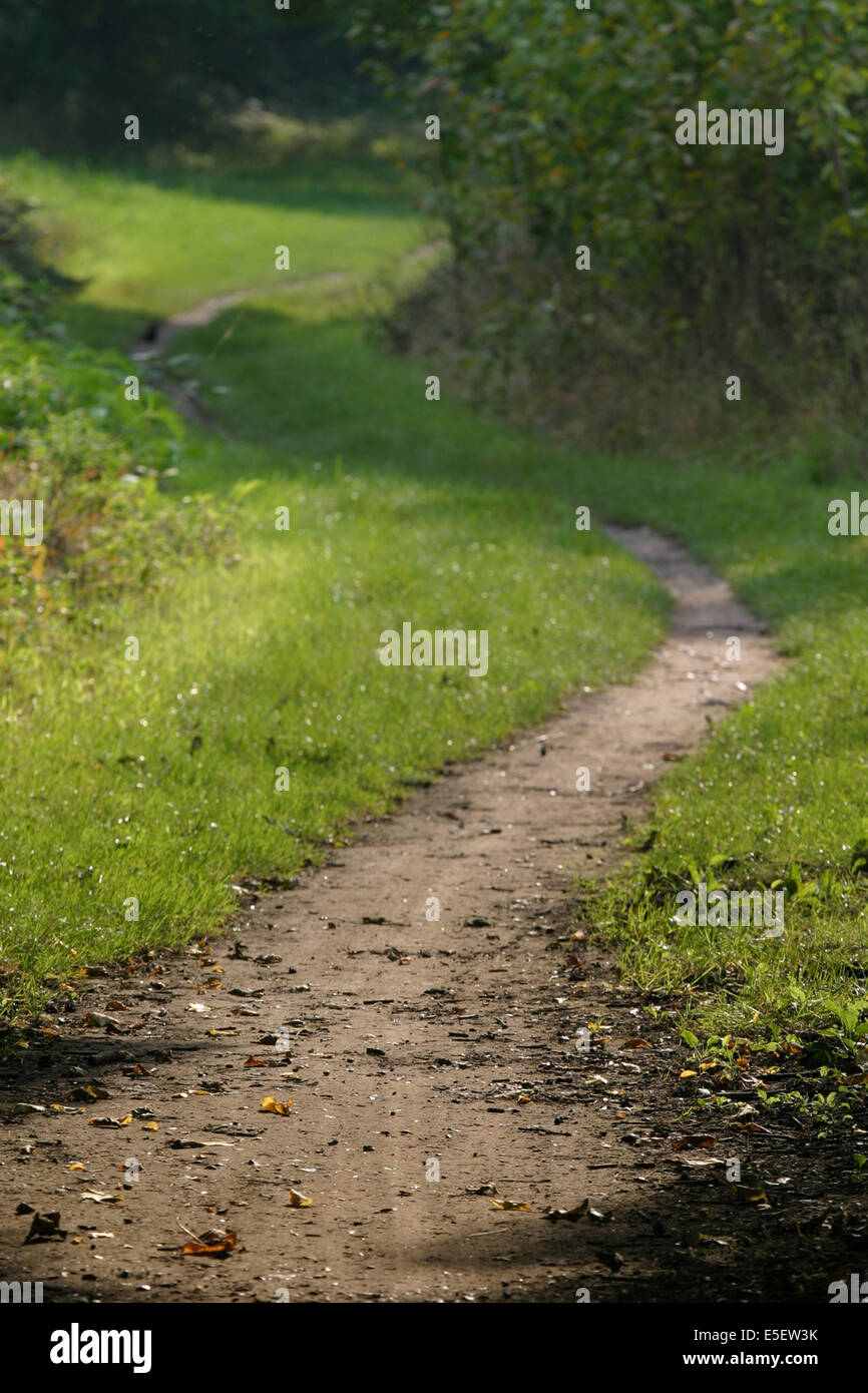 Etangs de la bresle hi-res stock photography and images - Alamy
