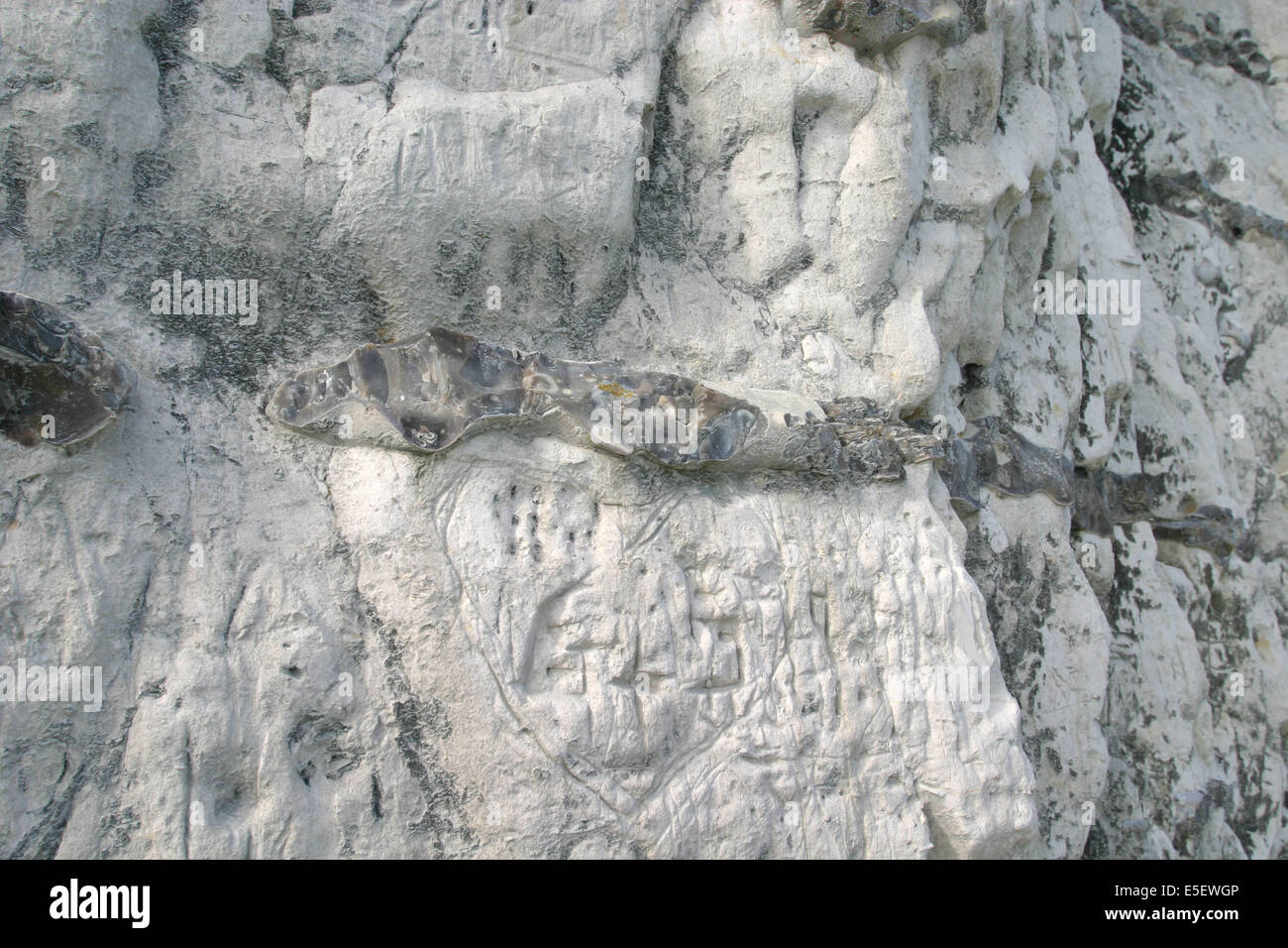 Details de silex dans le calcaire hi-res stock photography and images ...