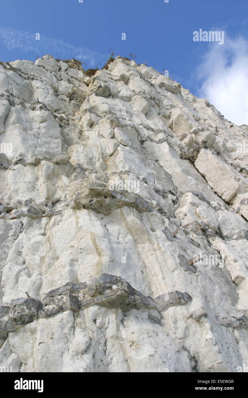 Details de silex dans le calcaire hi-res stock photography and images ...