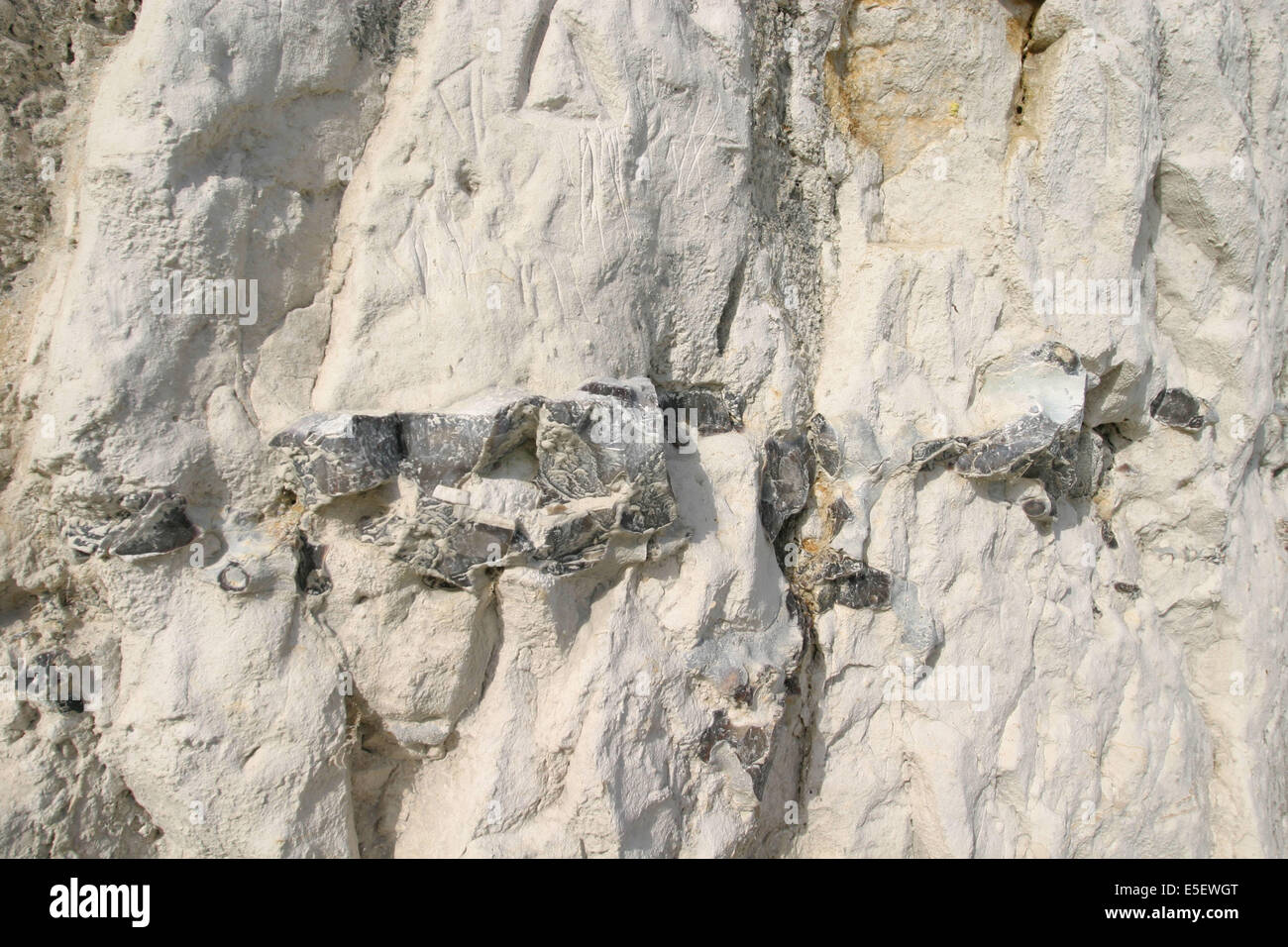 Detail silex dans le calcaire hi-res stock photography and images - Alamy